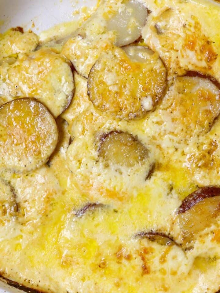 Best Homemade Mashed Potatoes, Prize-Winning Recipe • Louisiana Woman Blog