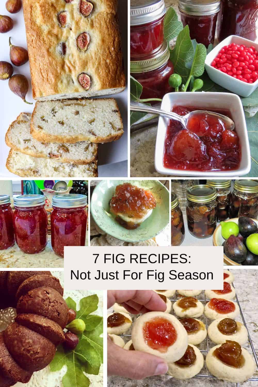 7 Fig Recipes: Not Just For Fig Season • Louisiana Woman Blog