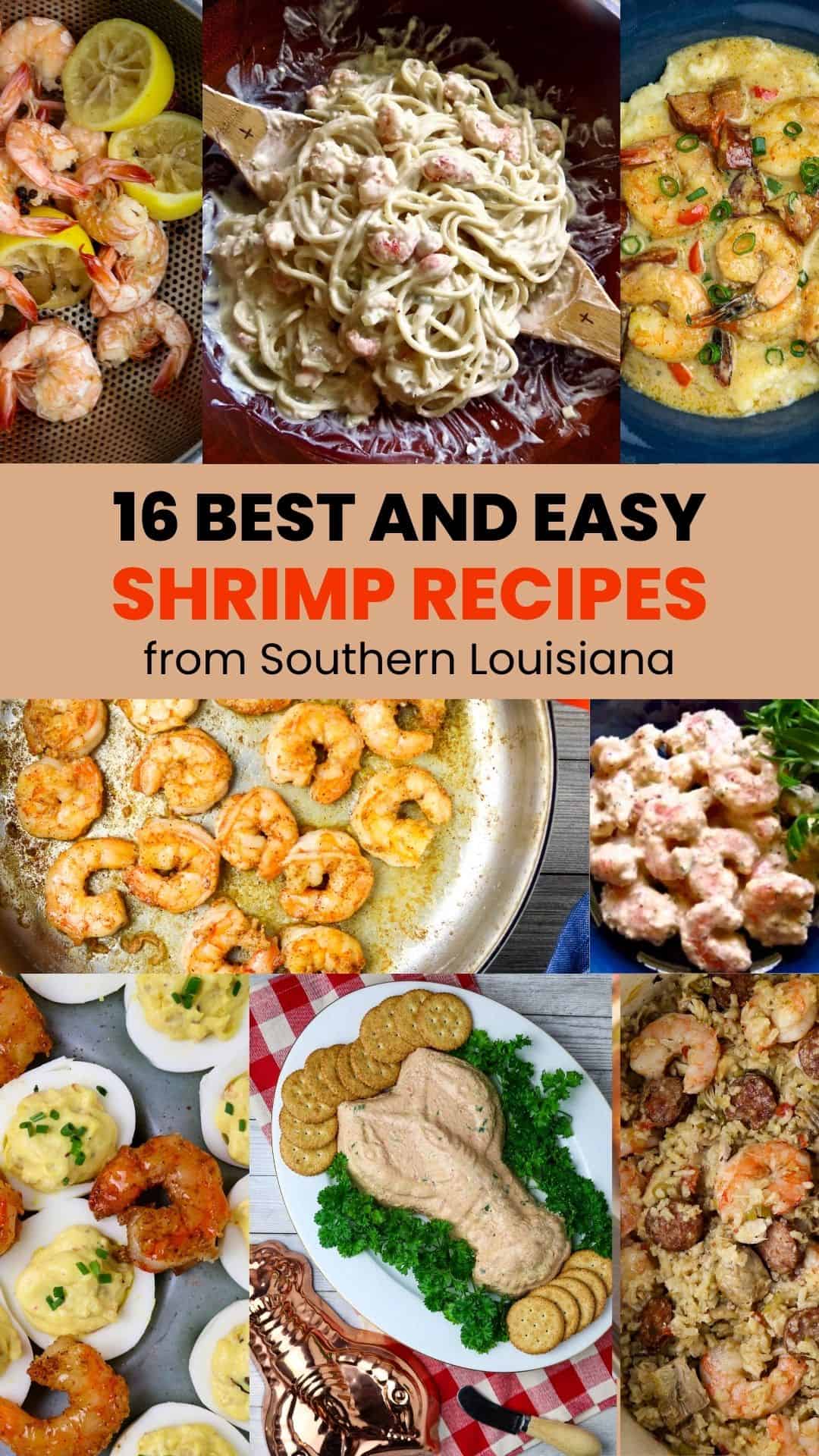 16 Best and Easy Shrimp Recipes from Southern Louisiana • Louisiana ...